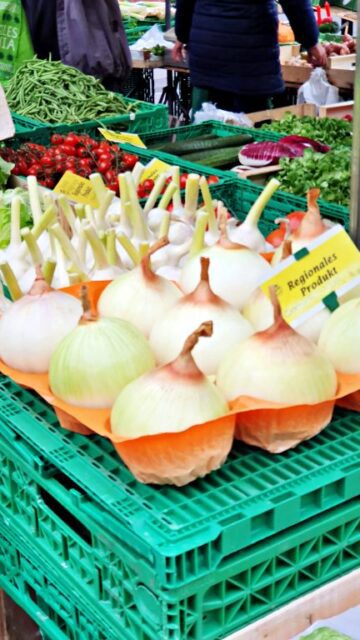 O que fazer em Basel (Basileia): roteiro de 1 dia na tríplice fronteira ...