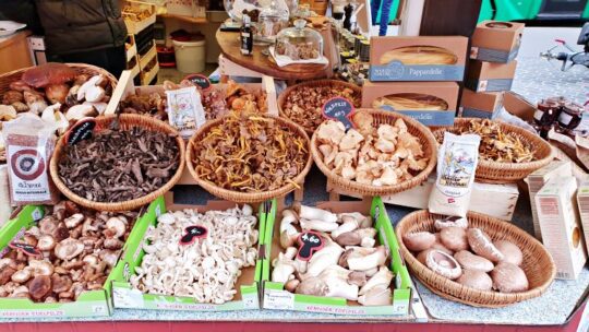 O que fazer em Basel (Basileia): roteiro de 1 dia na tríplice fronteira ...